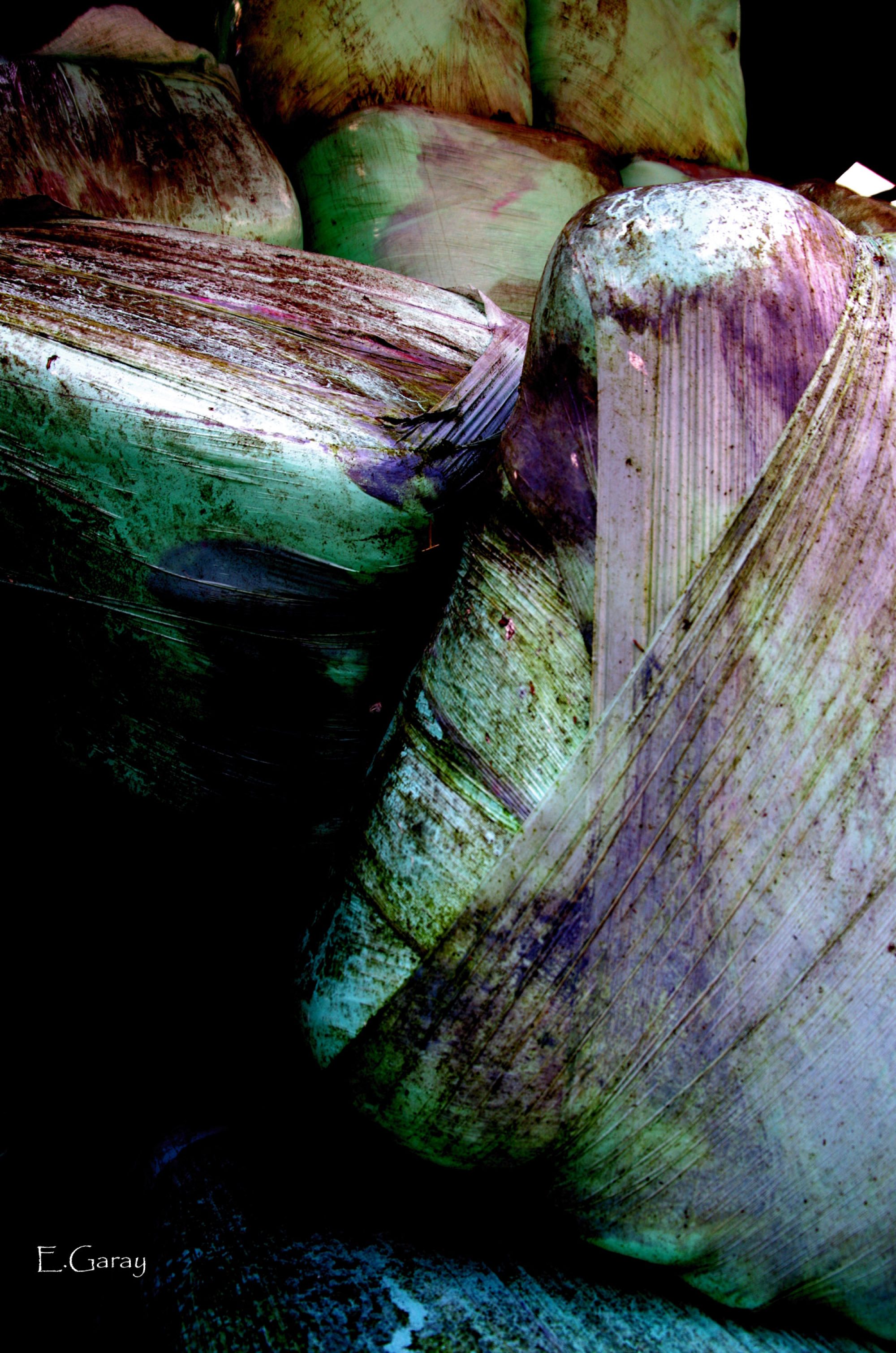 Abstracto, Eva Garay – Photo Fringe 2020