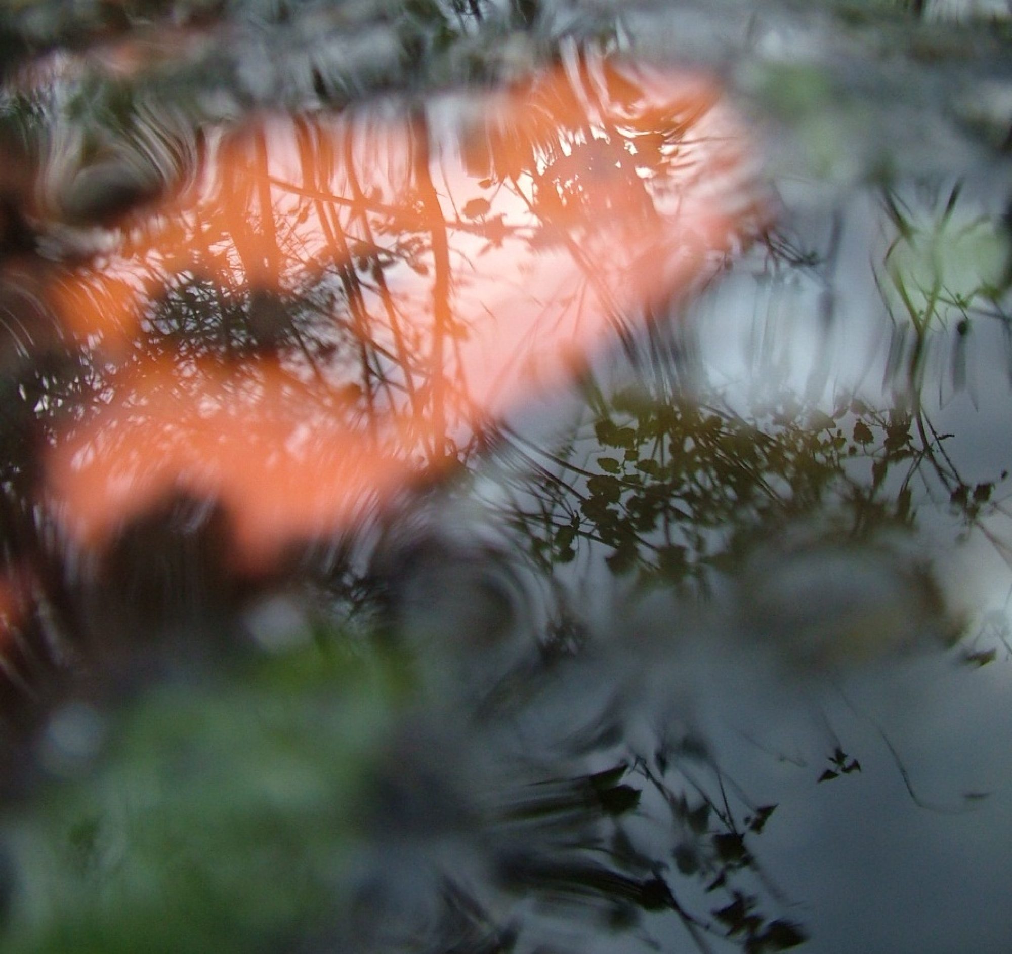 Abstracto, Eva Garay – Photo Fringe 2020