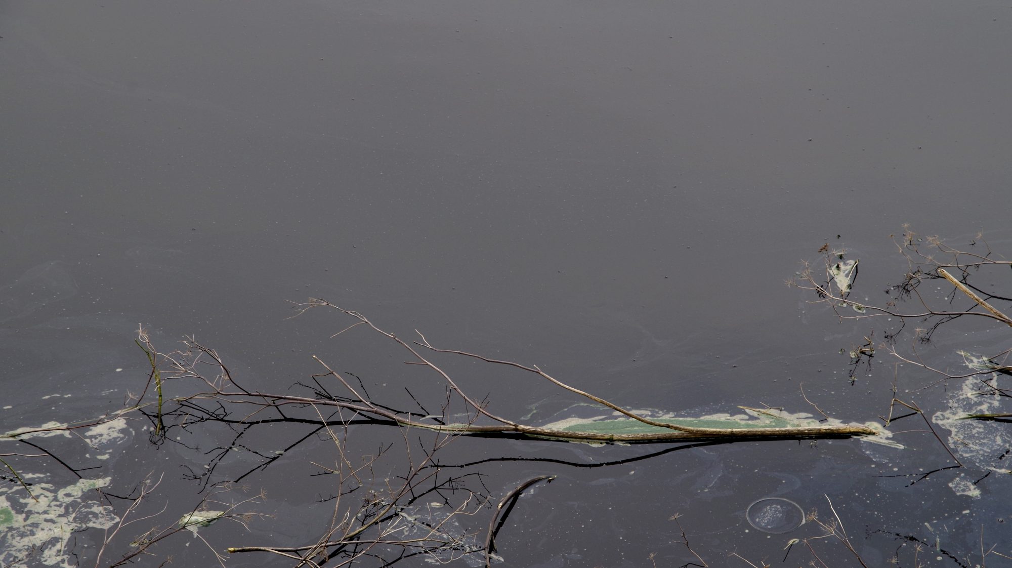 Abstracto, Eva Garay – Photo Fringe 2020