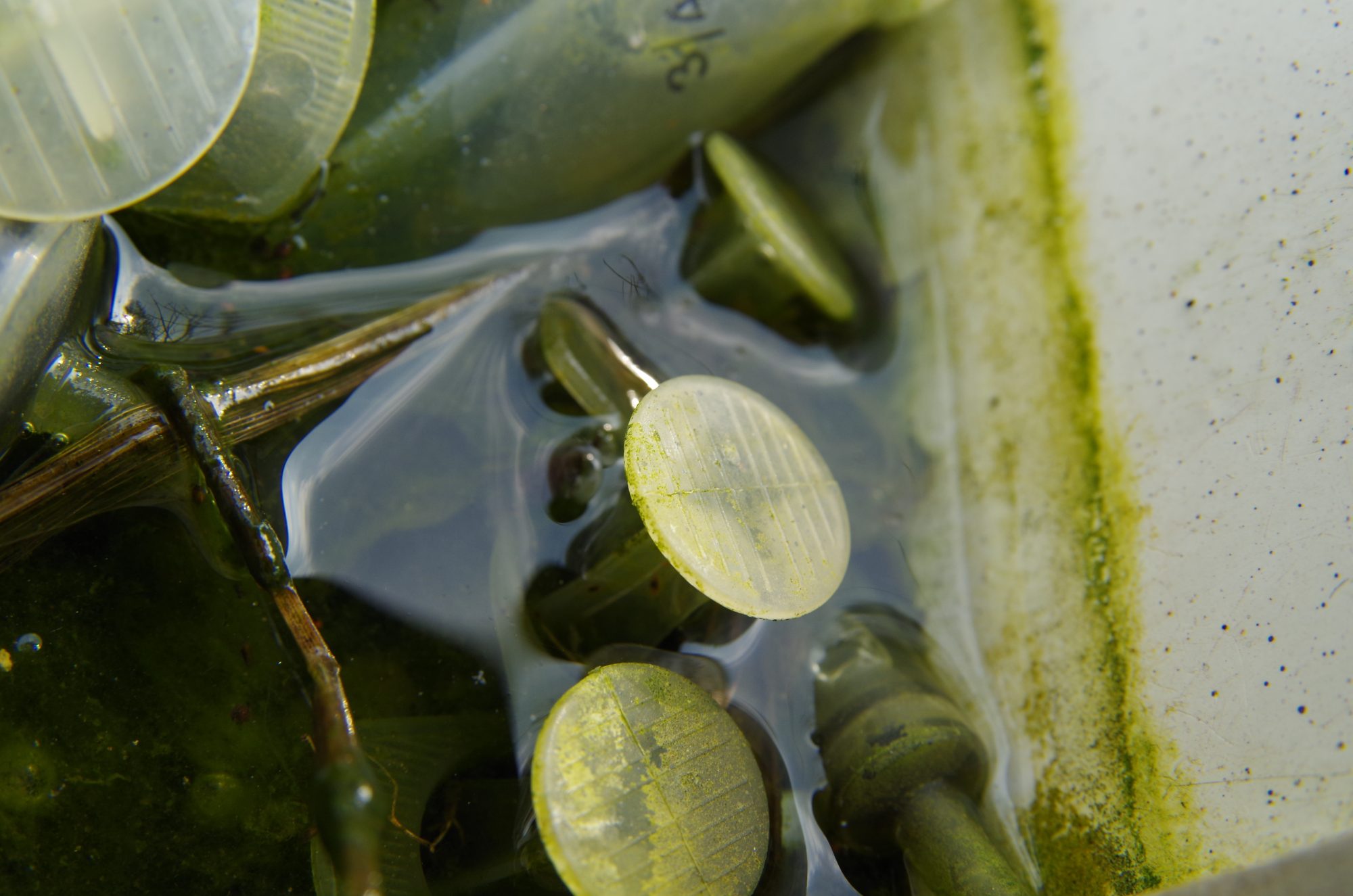 Abstracto, Eva Garay – Photo Fringe 2020